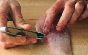 How To Remove Pin-Bones From Fish: How to pin-bone fish fillets